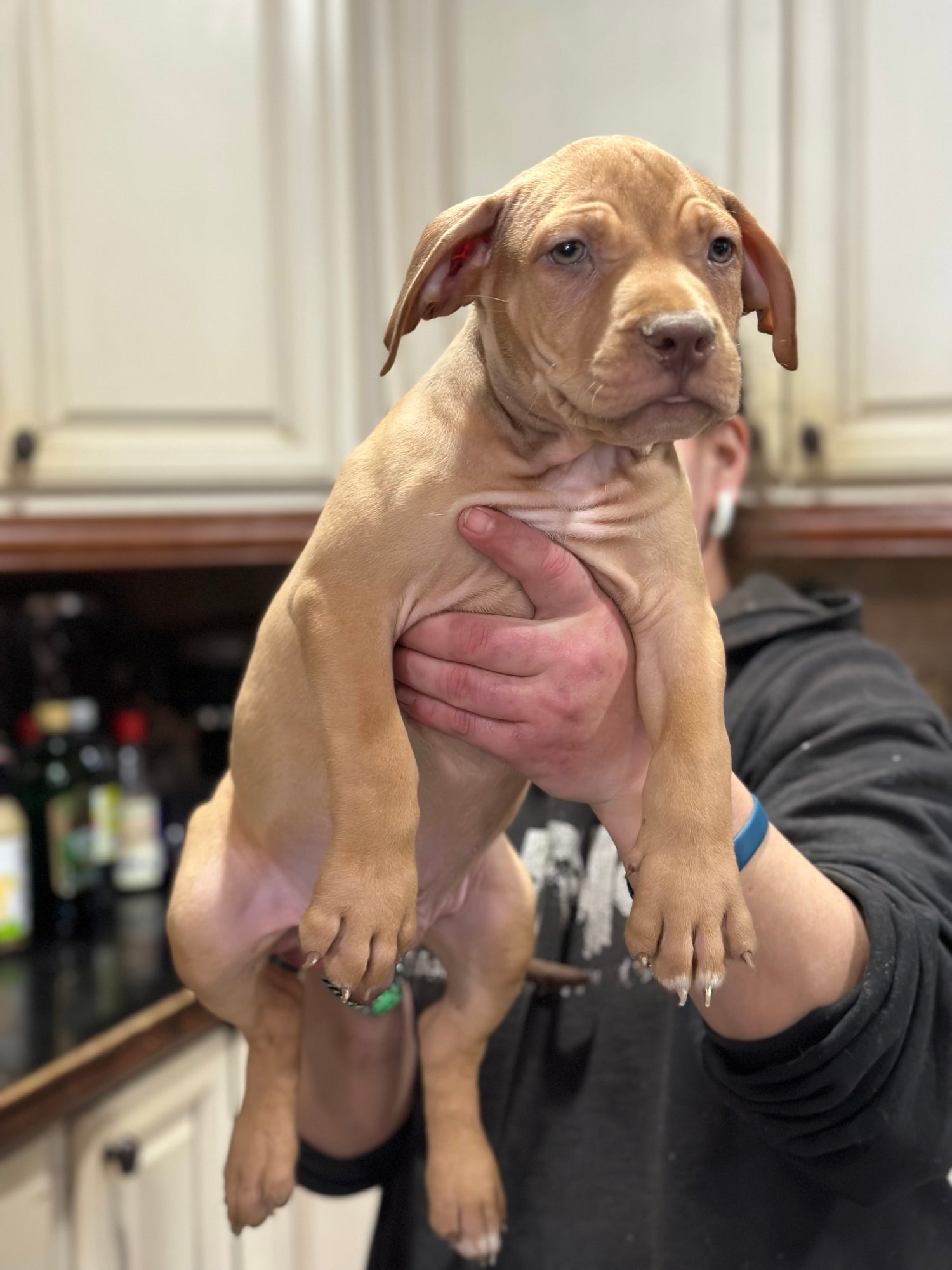 DDKLINE Apparel – DDKLine Apparel